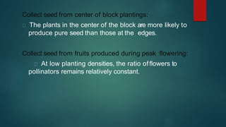 Isolation Distance and it's Importance in seed Production | PPTX