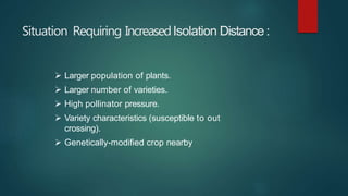 Isolation Distance and it's Importance in seed Production | PPTX