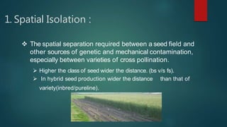 Isolation Distance and it's Importance in seed Production | PPTX