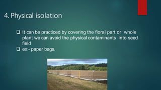 Isolation Distance and it's Importance in seed Production | PPTX