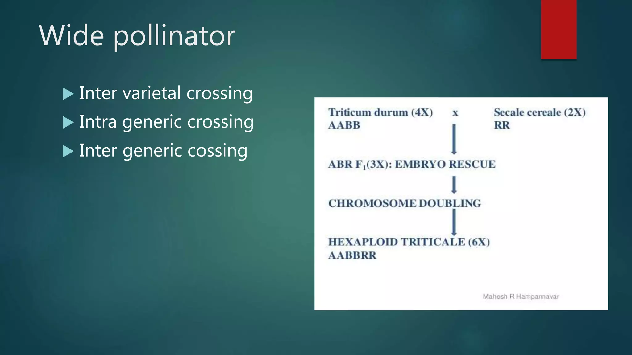 Isolation distance IN SEED PRODUCTION | PPTX