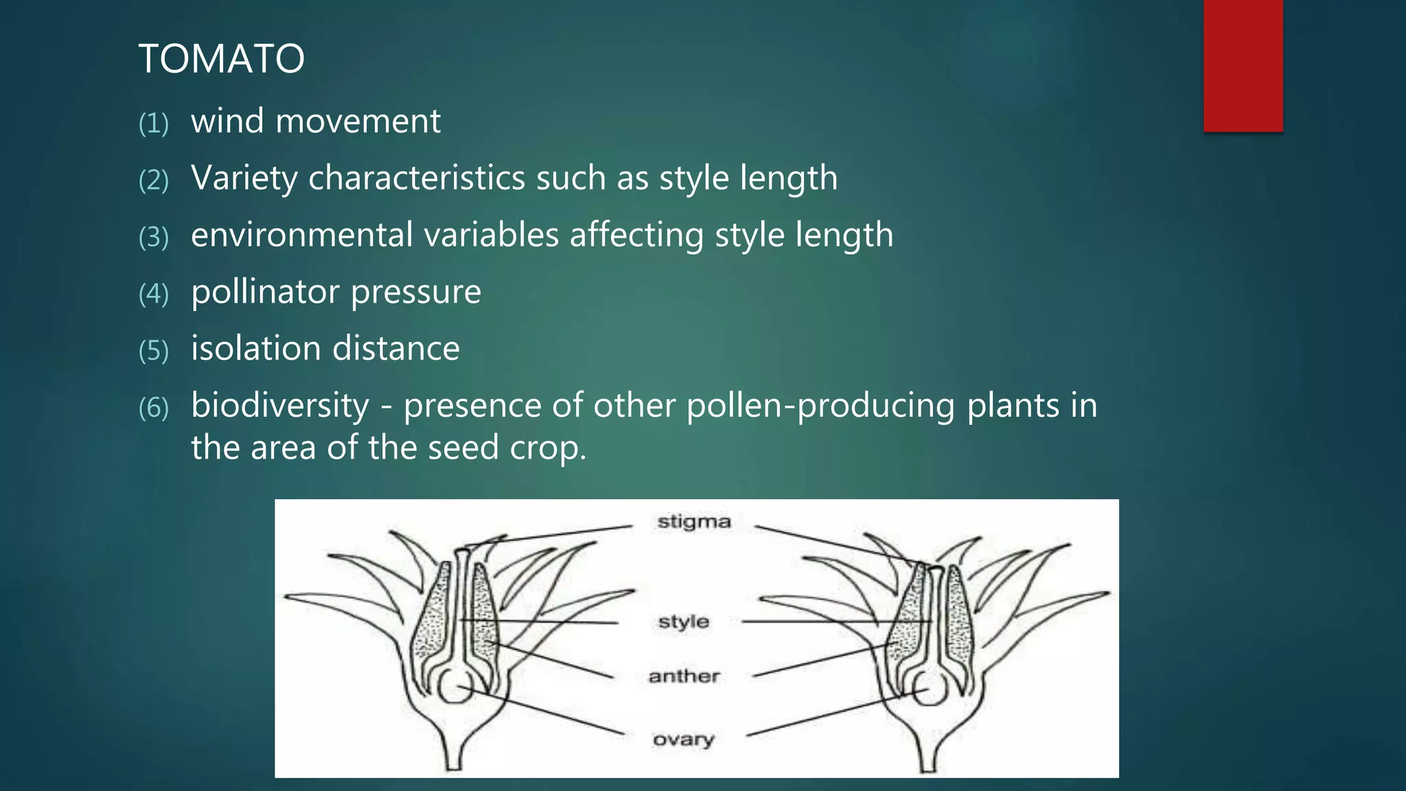 Isolation distance IN SEED PRODUCTION | PPTX