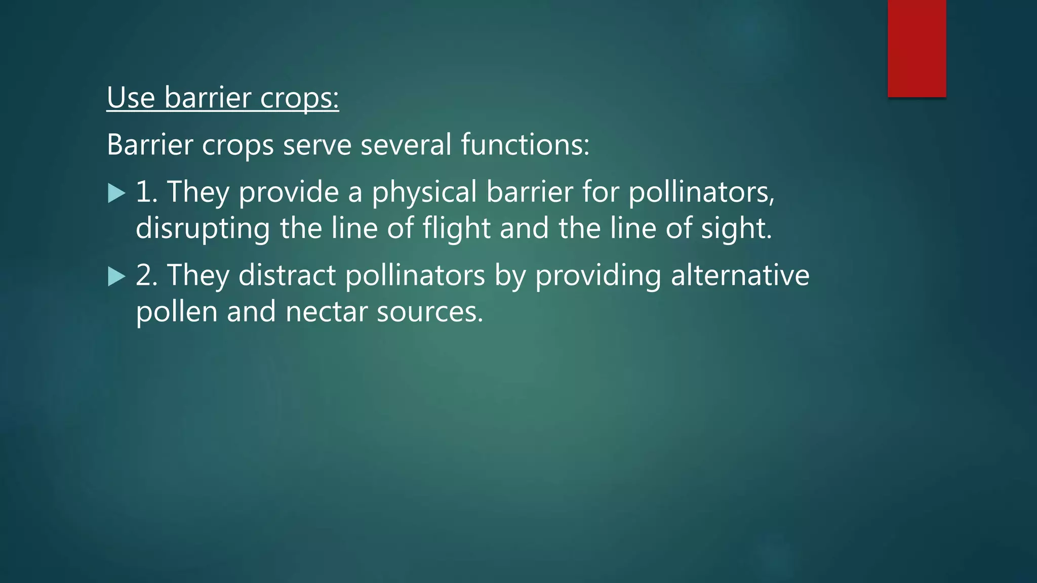 Isolation distance IN SEED PRODUCTION | PPTX