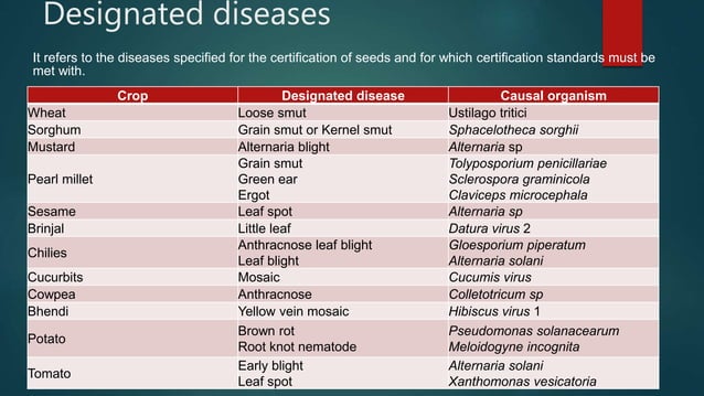 Isolation distance IN SEED PRODUCTION | PPTX | Agriculture | Industries