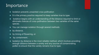 Isolation distance IN SEED PRODUCTION | PPTX