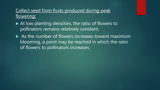 Isolation distance IN SEED PRODUCTION | PPTX