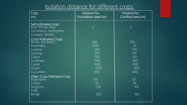 Isolation distance IN SEED PRODUCTION | PPTX | Agriculture | Industries