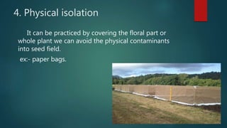 Isolation distance IN SEED PRODUCTION | PPTX