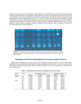 Isolation Endophyte Bacteria of Sanrego.pdf