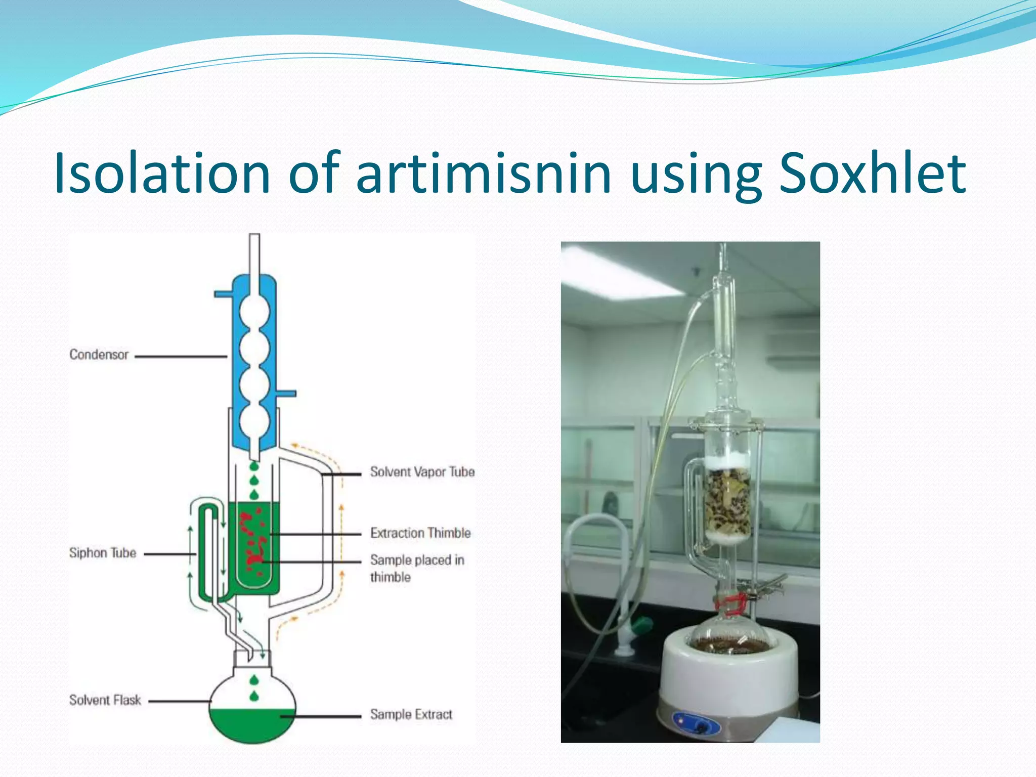 isolation , idenntification and analysis of terpenoids.pptx