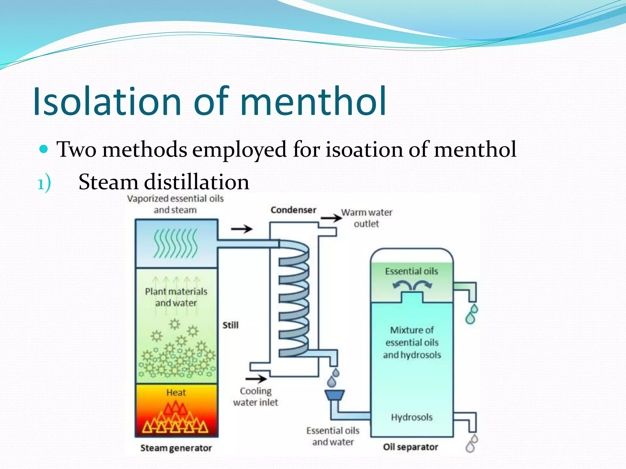 isolation , idenntification and analysis of terpenoids.pptx