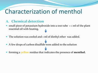 isolation , idenntification and analysis of terpenoids.pptx