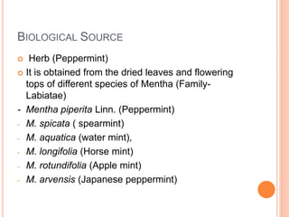 Isolation Identification and analysis of Menthol.pptx
