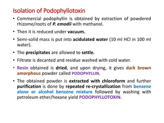 Isolation, Identification and Analysis of Phytoconstituents.pptx
