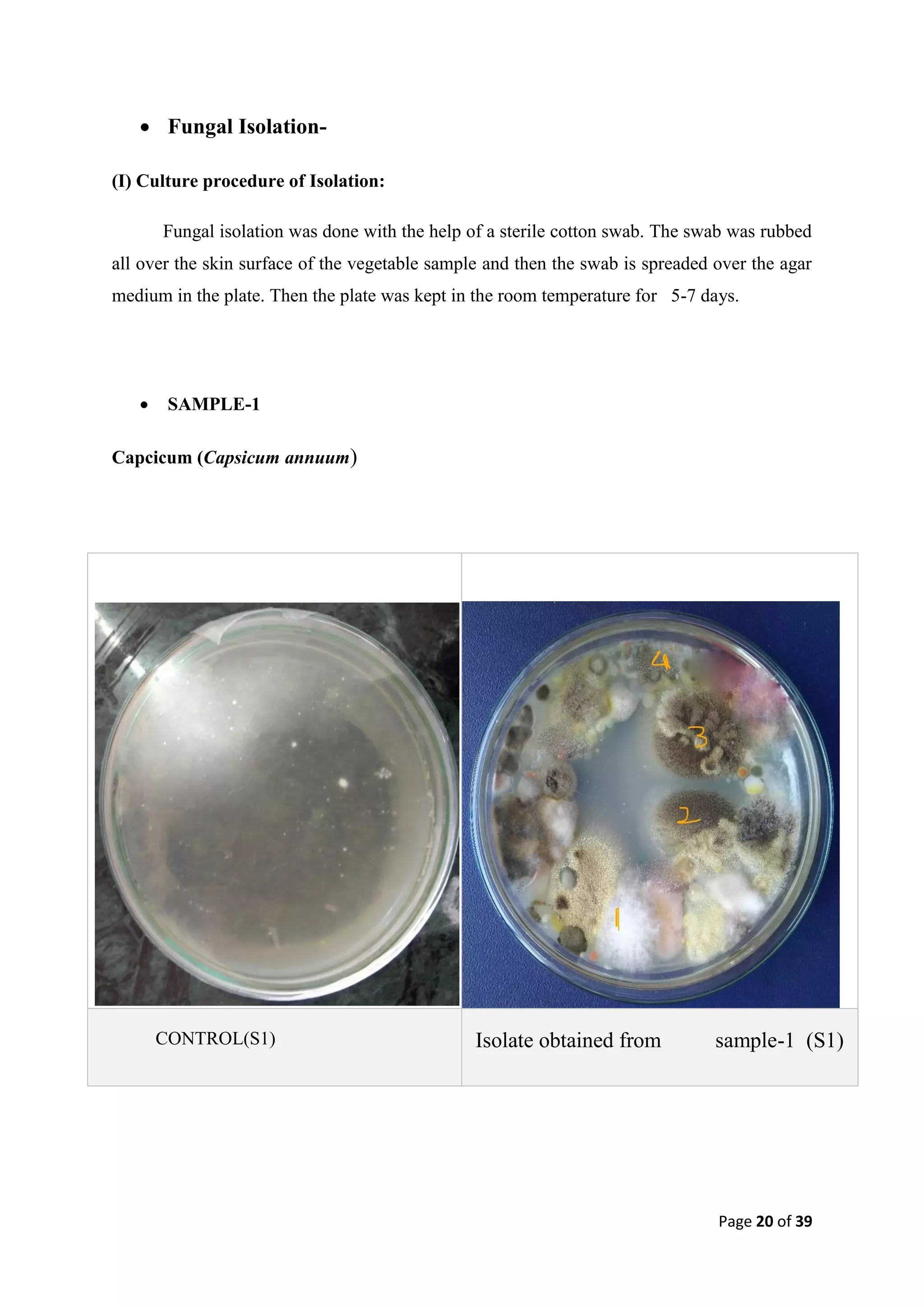 Isolation, identification and characterization of fungi from stored ...