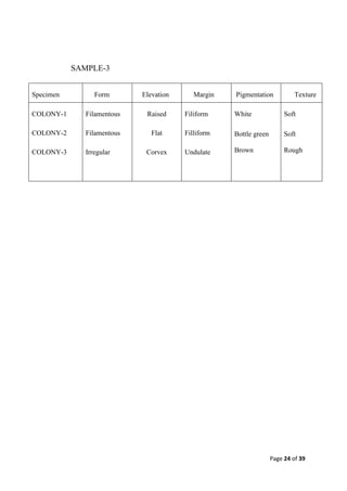 Isolation, identification and characterization of fungi from stored ...