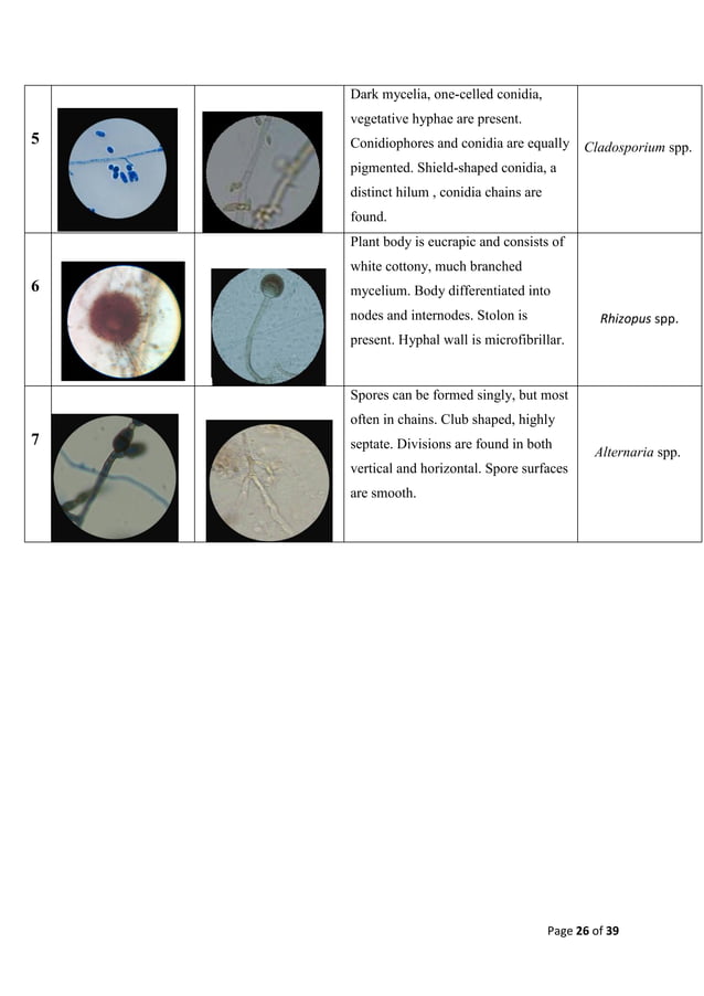 Isolation, identification and characterization of fungi from stored ...