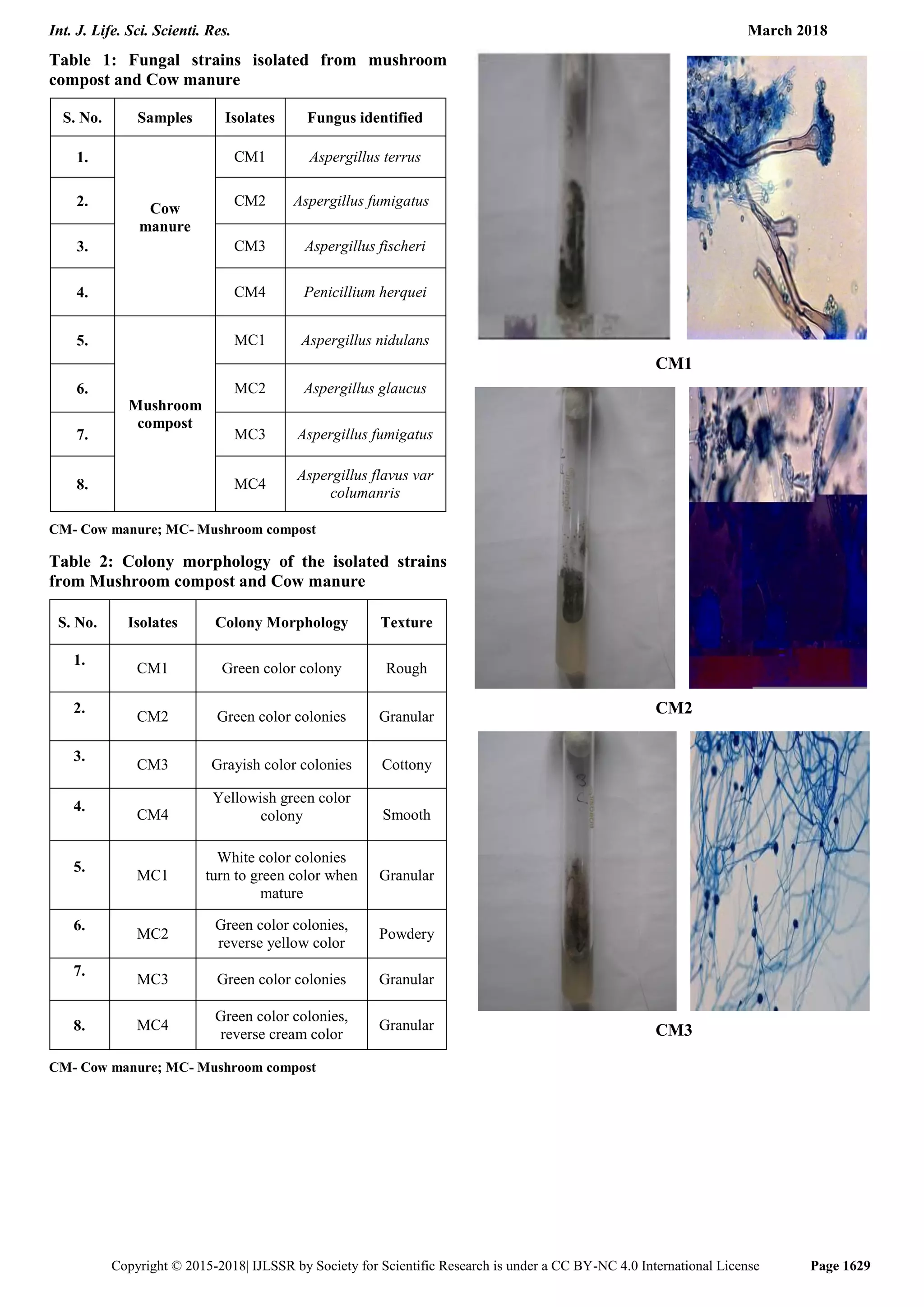 Isolation, identification and screening of alkaline protease from thermophilic fungal species | PDF
