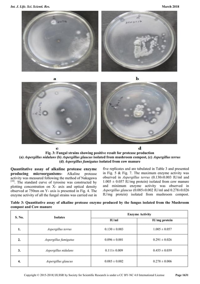 Isolation, identification and screening of alkaline protease from thermophilic fungal species | PDF