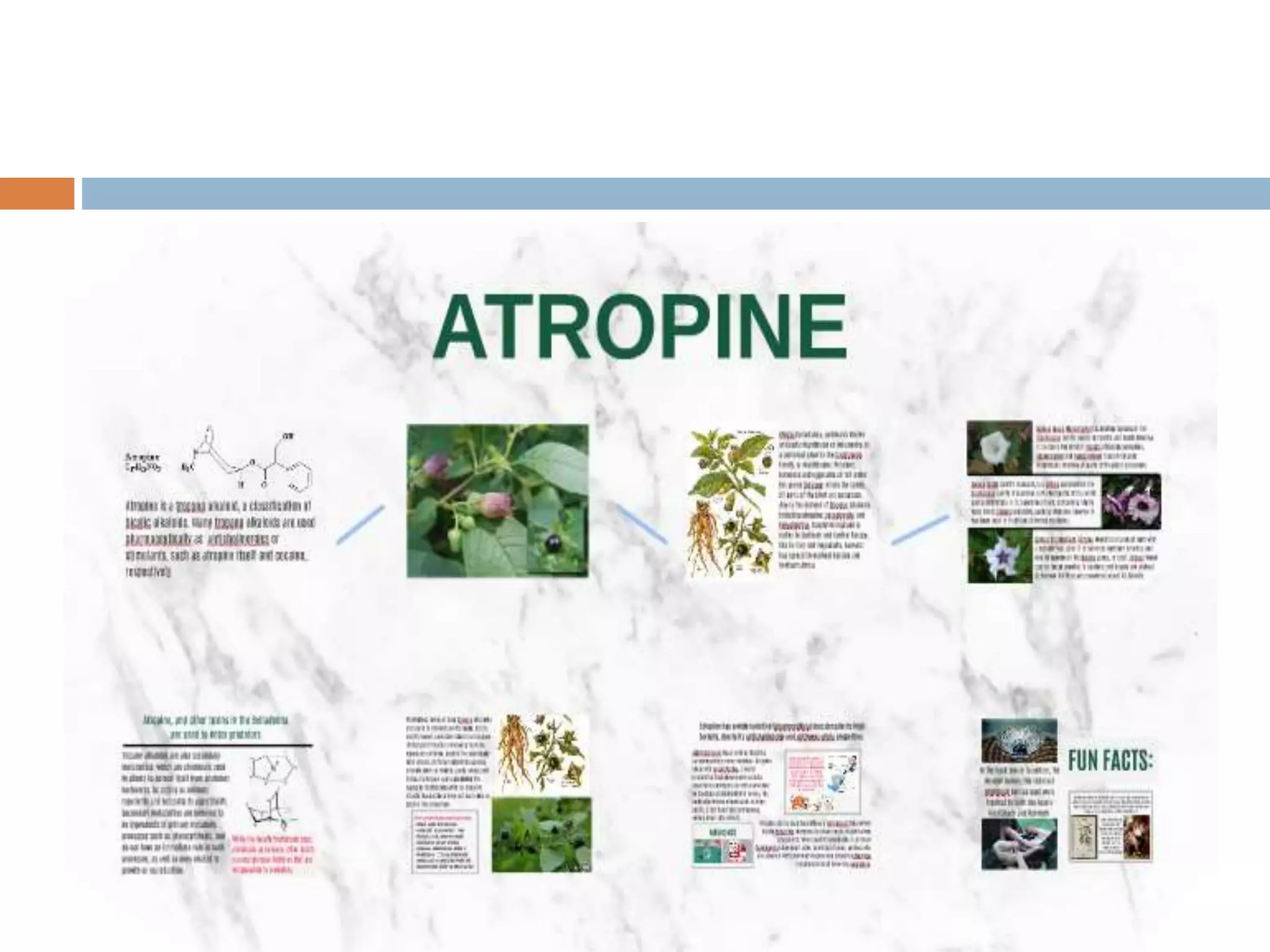 ISOLATION IDENTIFICATION of alkaloids atropine and quinine.pptx