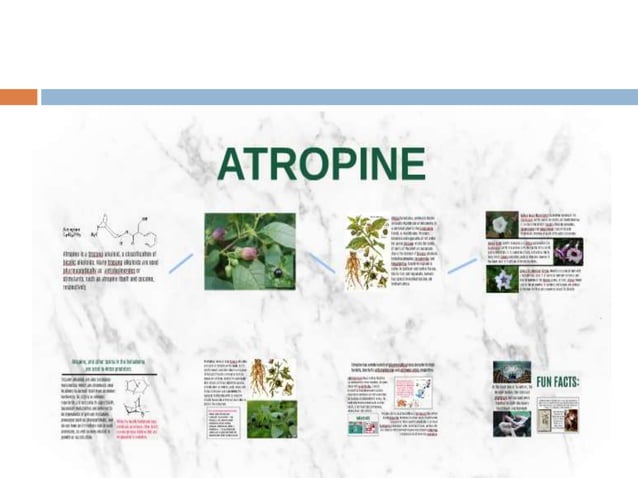ISOLATION IDENTIFICATION of alkaloids atropine and quinine.pptx ...