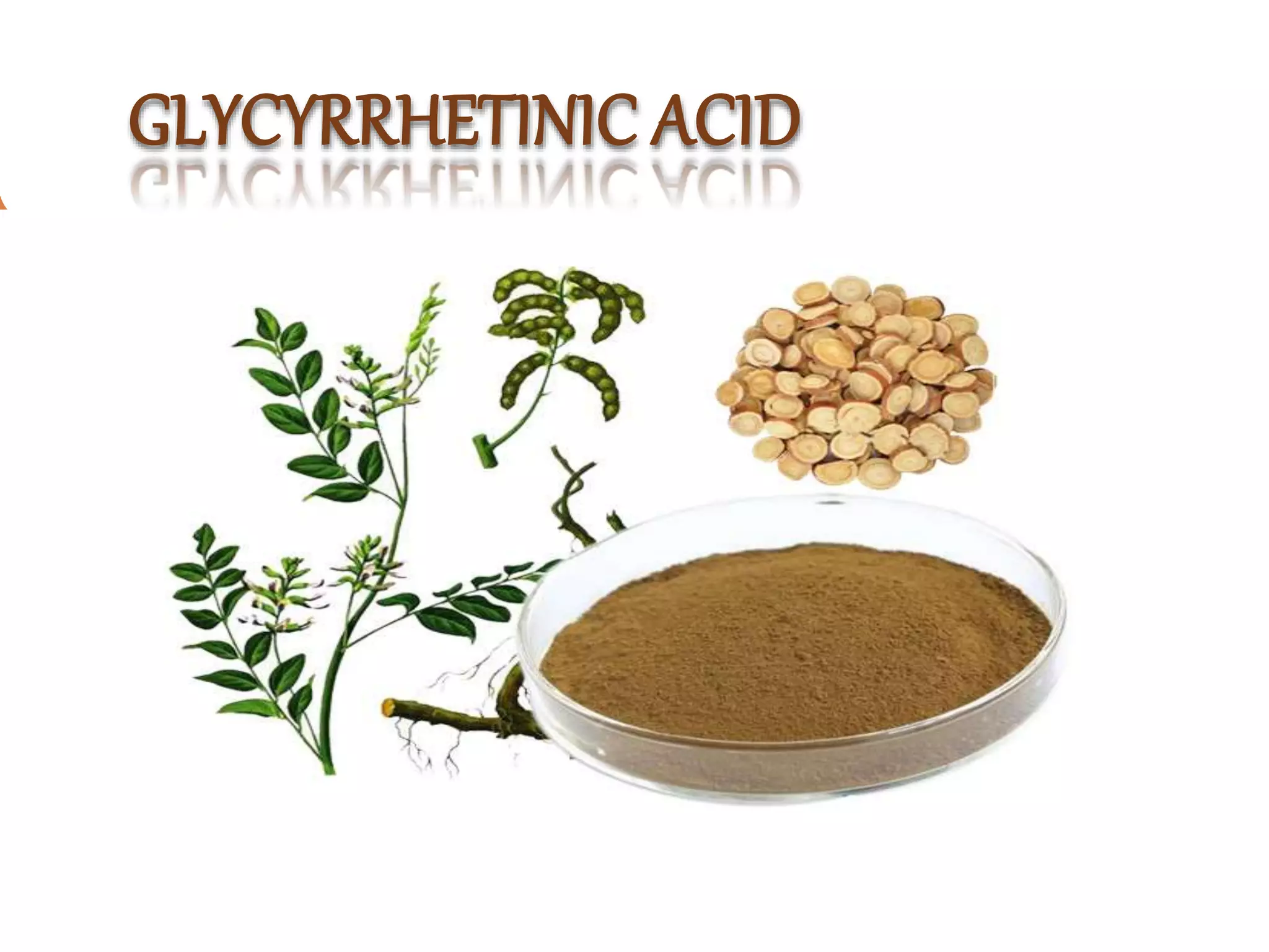 isolation & identification of glycosides.pptx