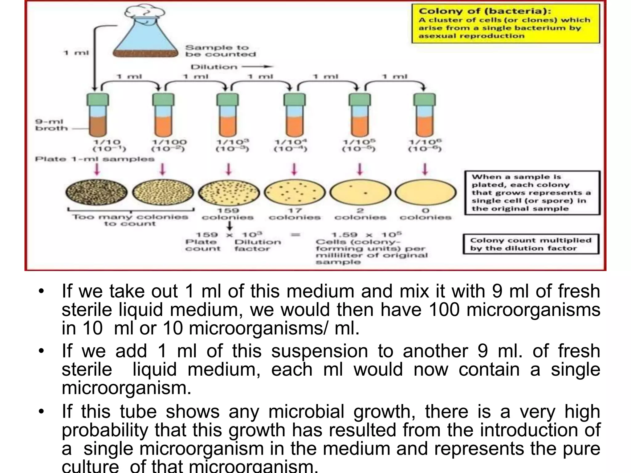 Isolation & Identification of Microorganism | PPTX