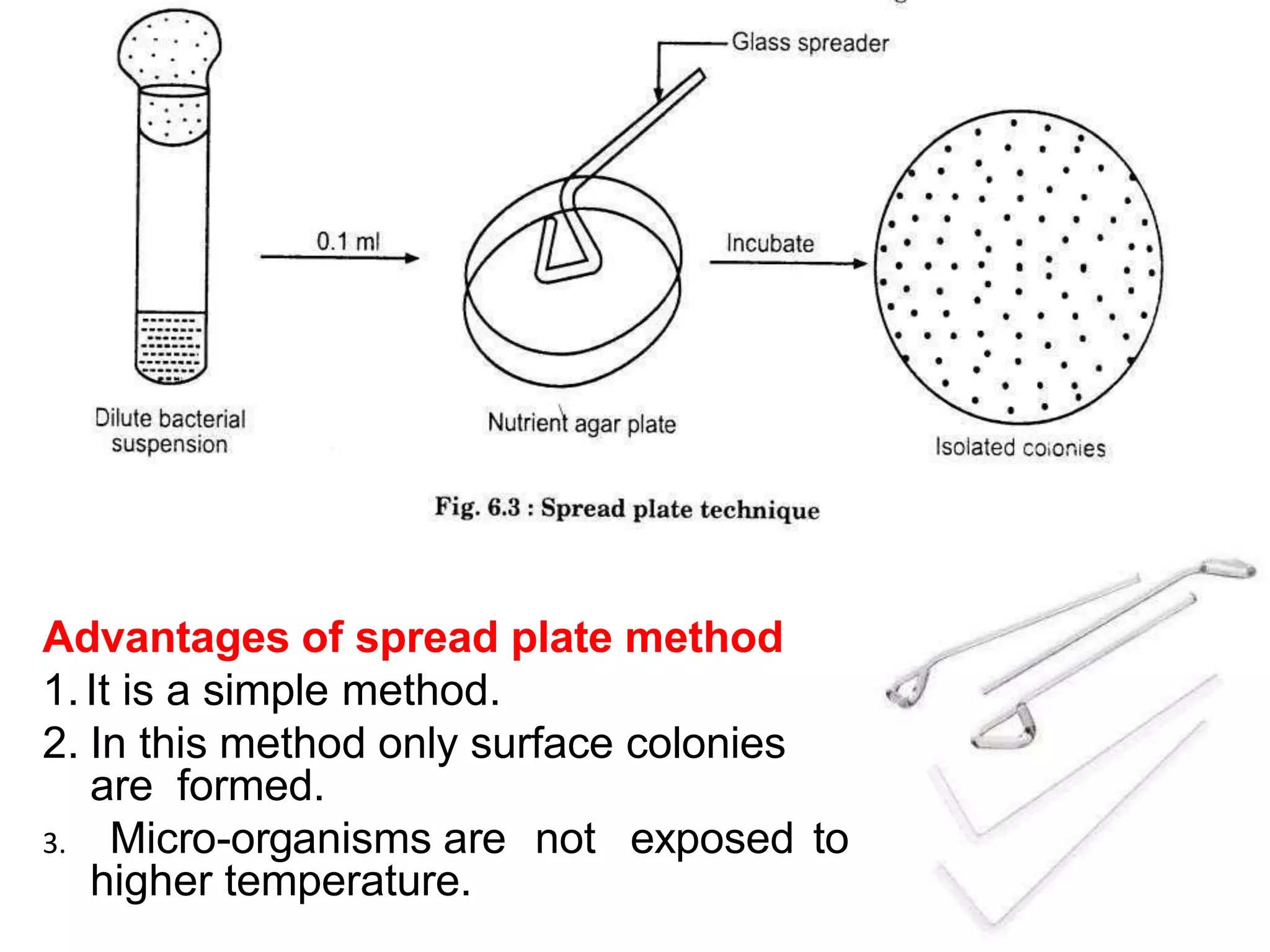 Isolation & Identification of Microorganism | PPTX