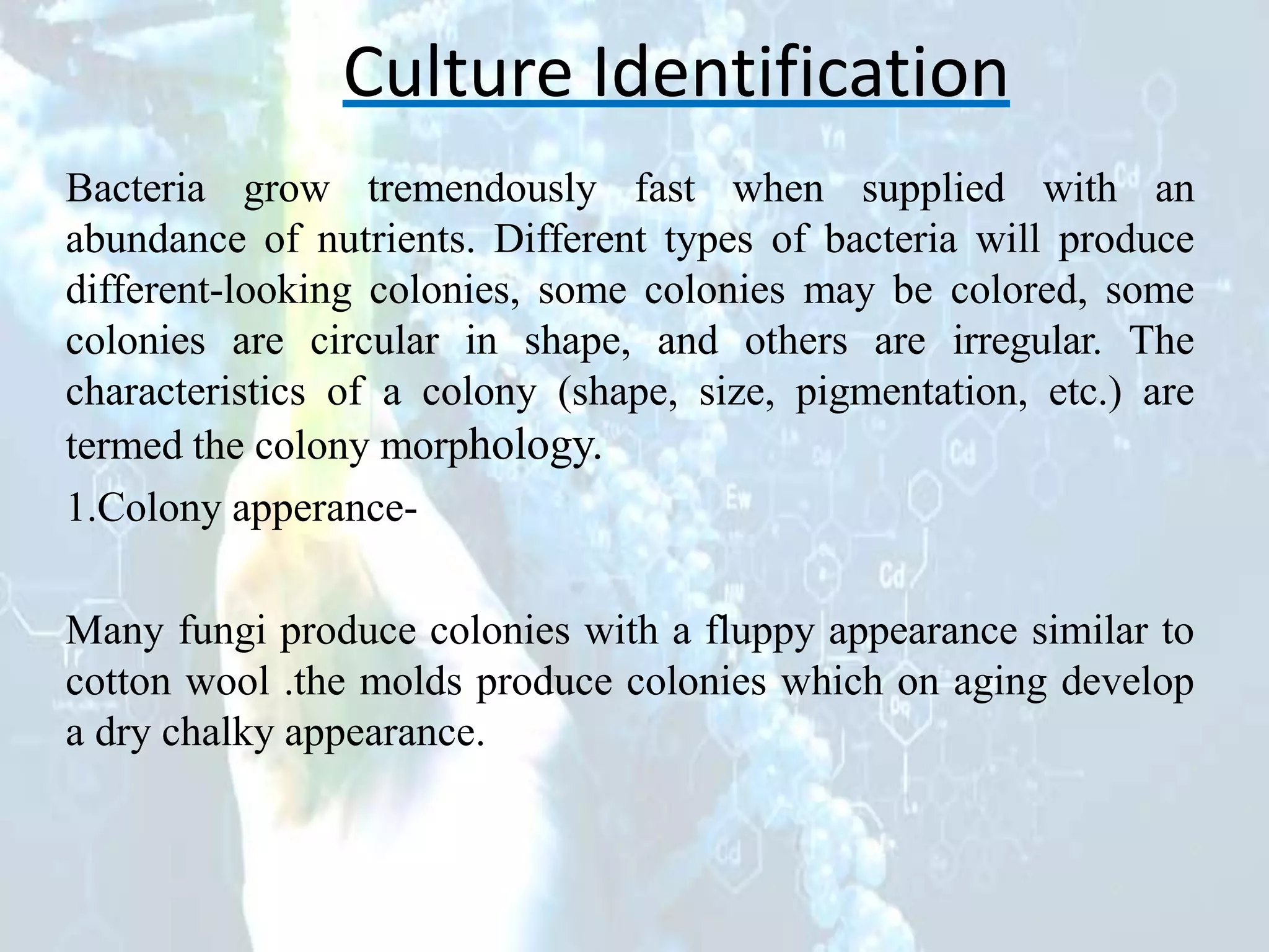 Isolation & Identification of Microorganism | PPTX