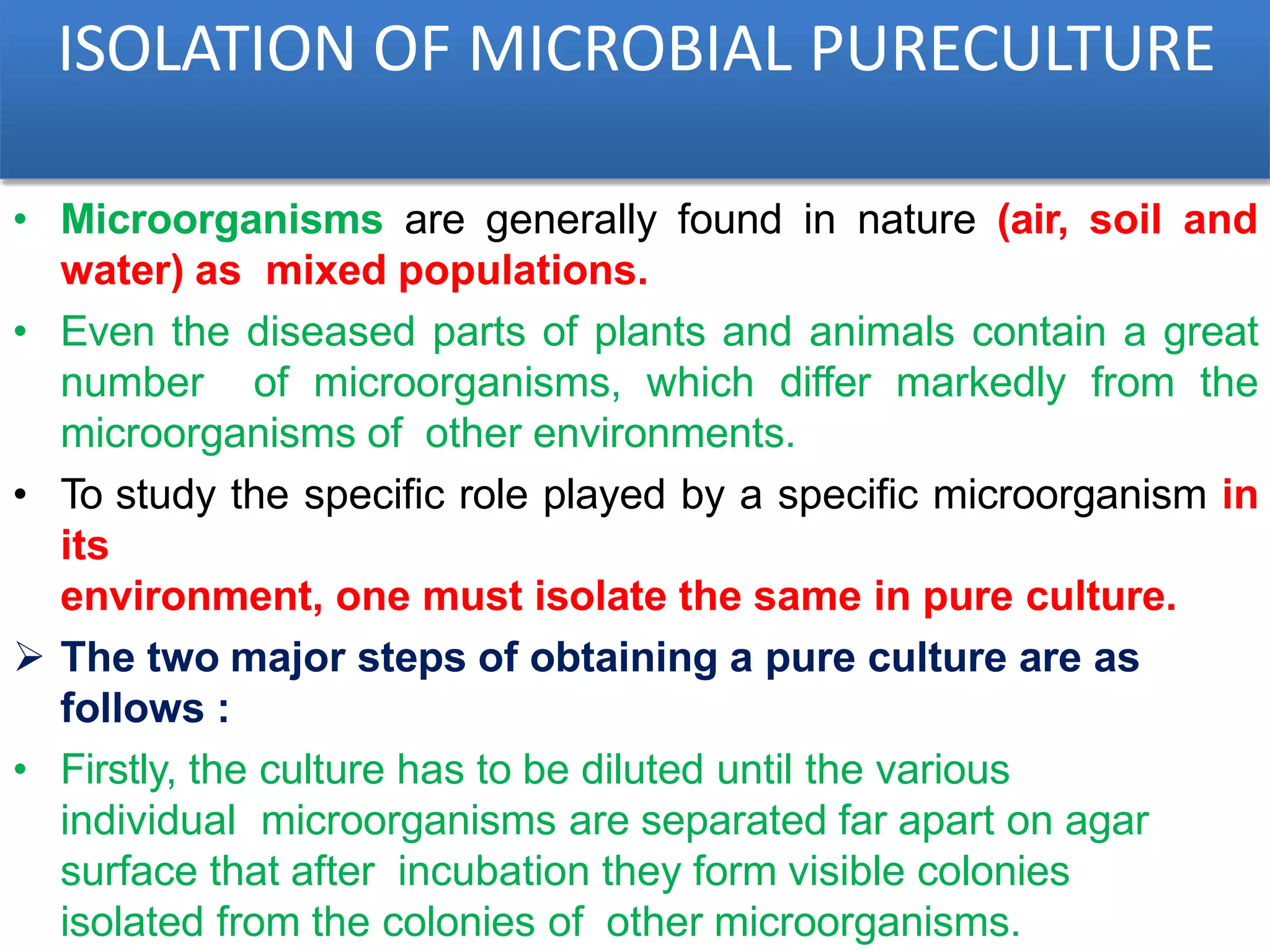 Isolation & Identification of Microorganism | PPTX