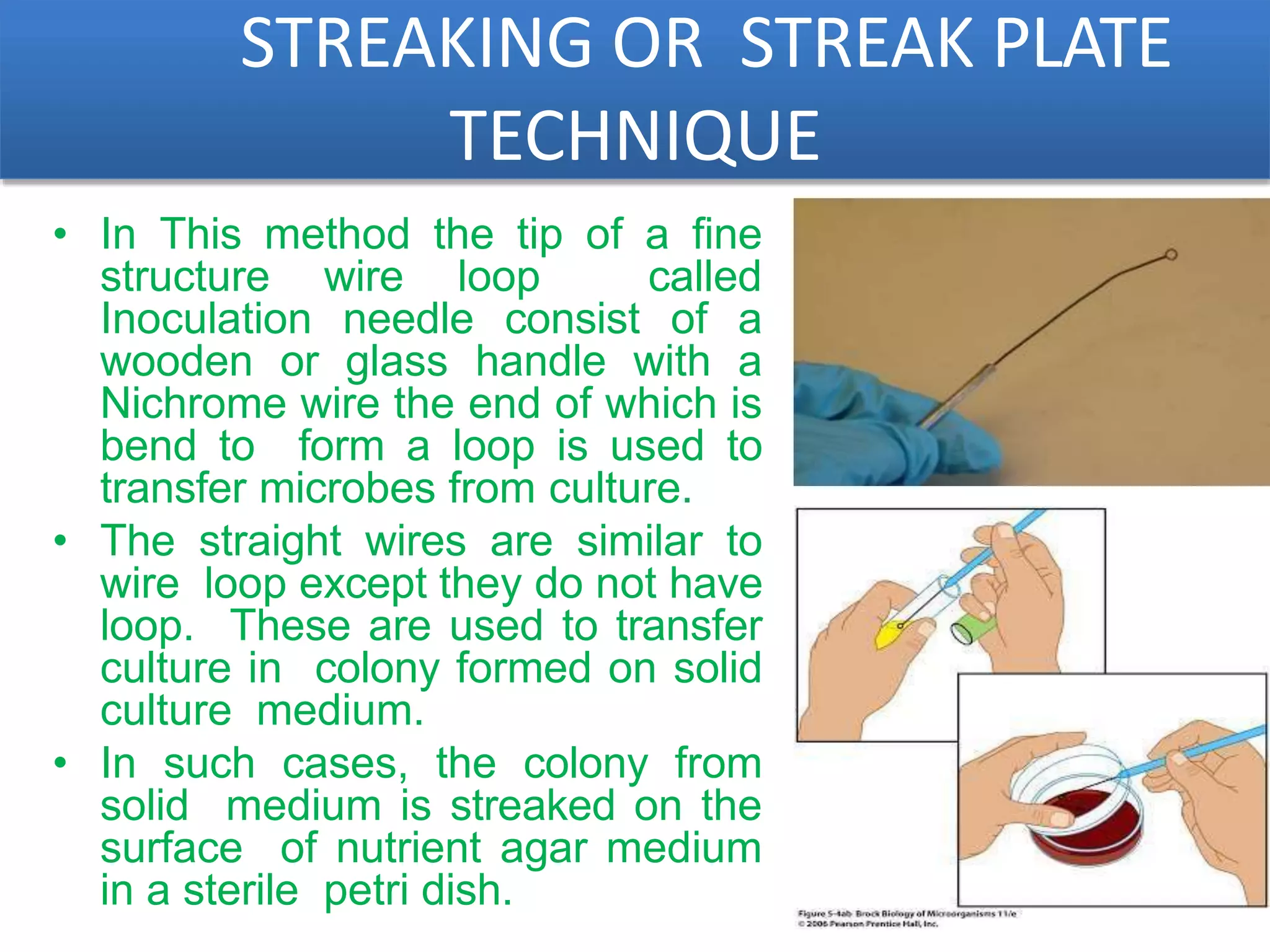 Isolation & Identification of Microorganism | PPTX