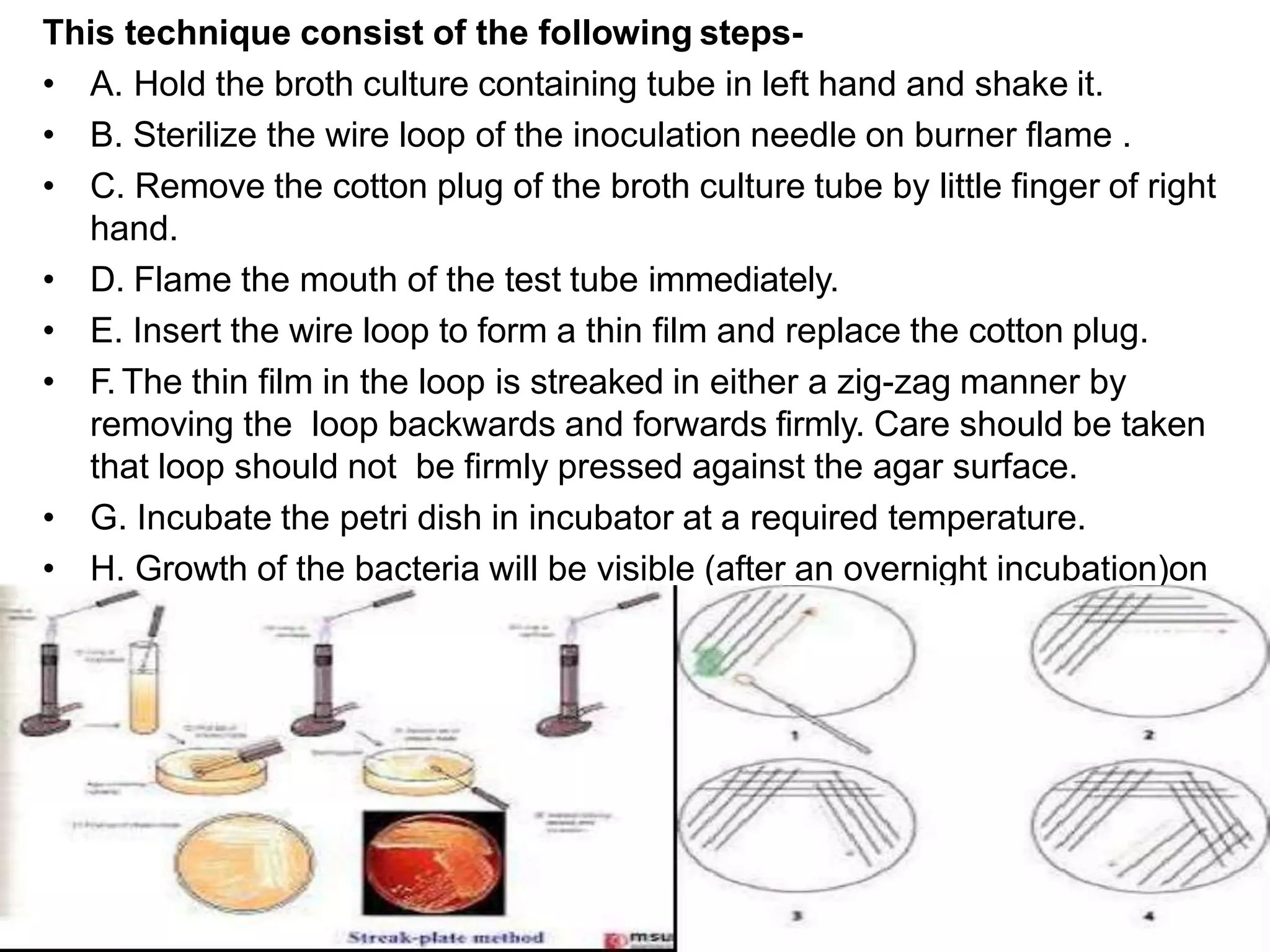 Isolation & Identification of Microorganism | PPTX