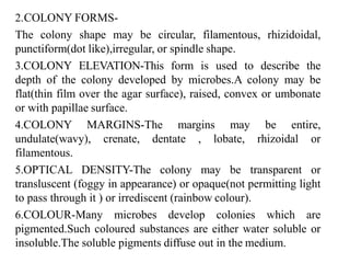 Isolation & Identification of Microorganism | PPTX