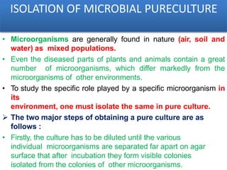 Isolation & Identification of Microorganism | PPTX