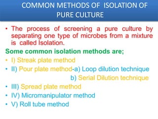 Isolation & Identification of Microorganism | PPTX