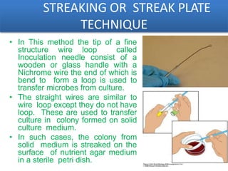 Isolation & Identification of Microorganism | PPTX