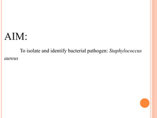 Isolation & identification of staphylococcus auerus | PPTX