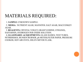 Isolation & identification of staphylococcus auerus | PPTX