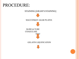 Isolation & identification of staphylococcus auerus | PPTX