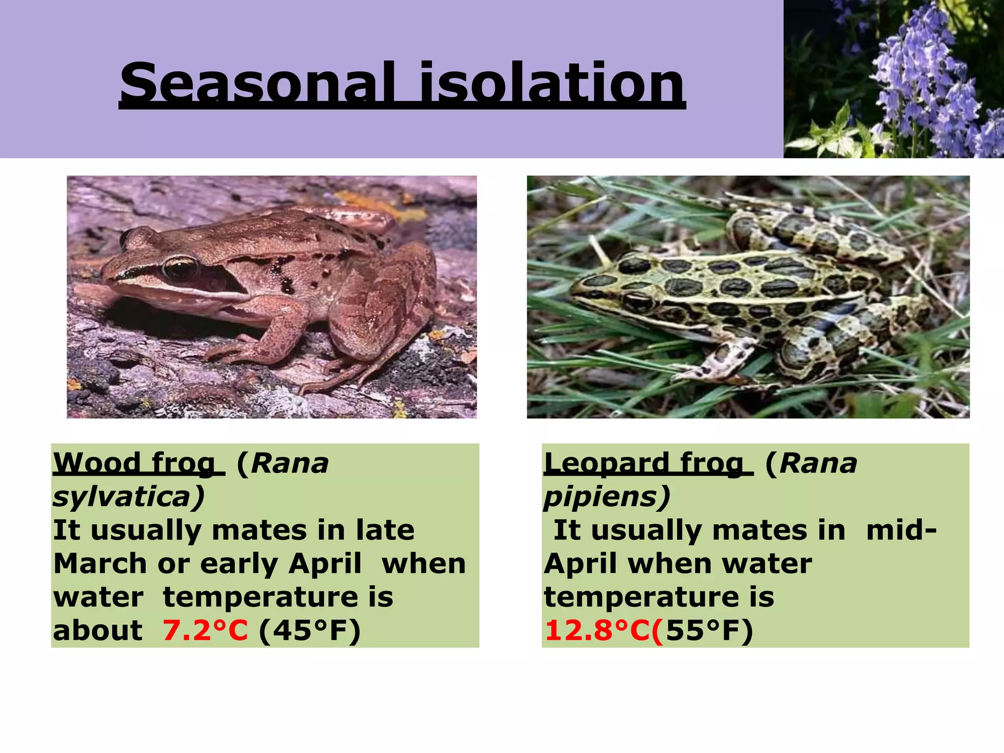 Isolation mechanisum | PPTX