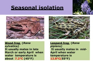 Isolation mechanisum | PPTX