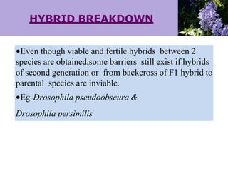 Isolation mechanisum | PPTX