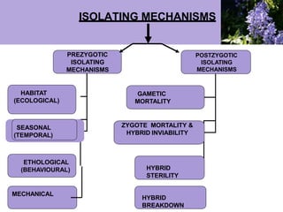 Isolation mechanisum | PPTX