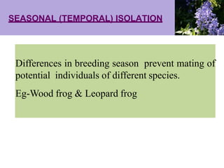 Temporal Isolation Flowers