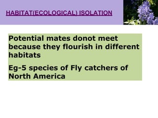 Ecological Isolation