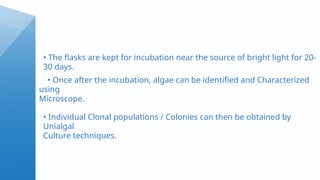 ISOLATION OF potential ALGAE FROM SOIL.pptx