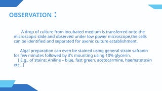 ISOLATION OF potential ALGAE FROM SOIL.pptx