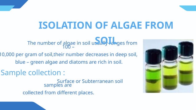 ISOLATION OF potential ALGAE FROM SOIL.pptx