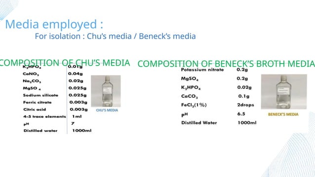 ISOLATION OF potential ALGAE FROM SOIL.pptx