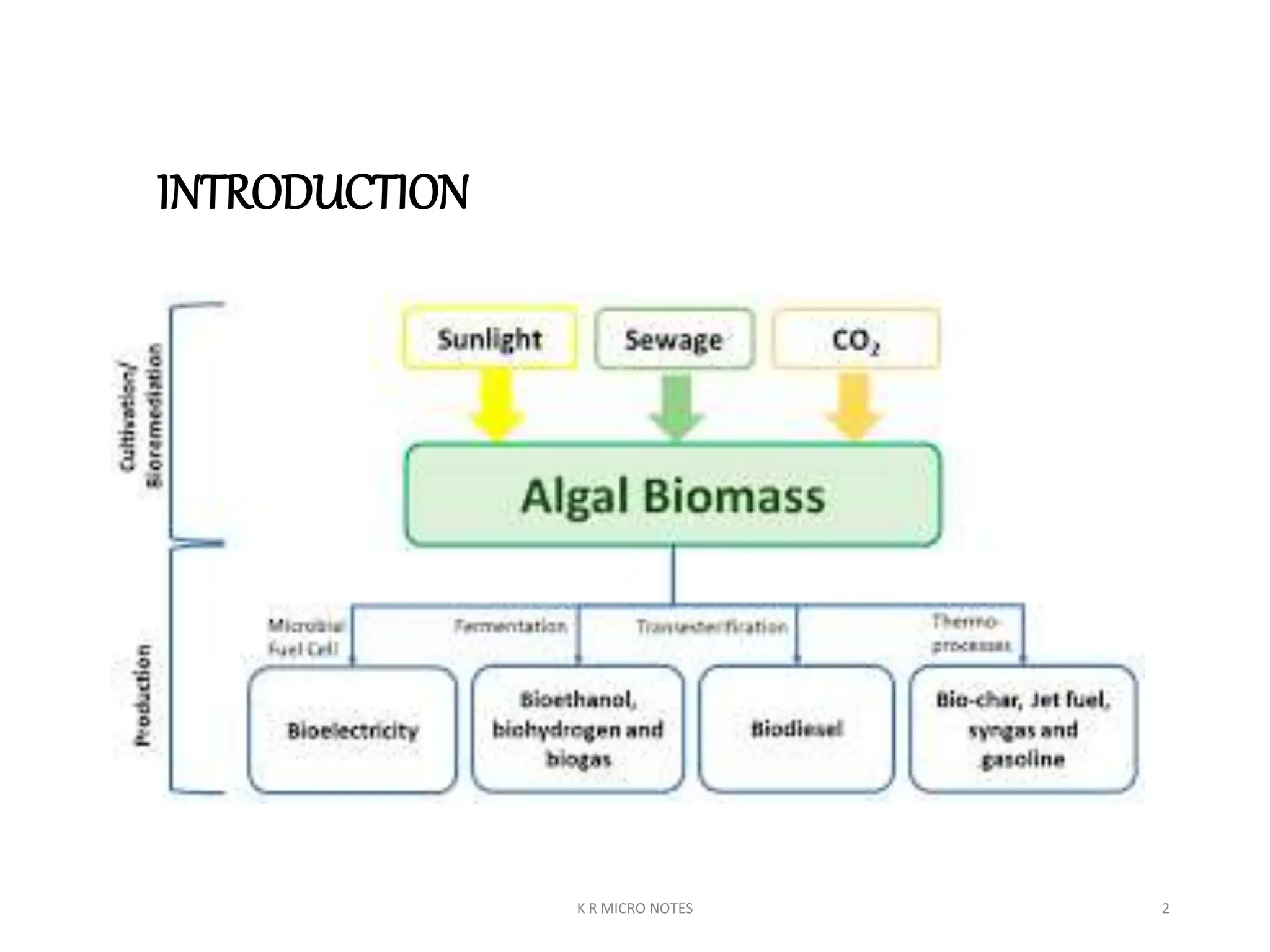 ISOLATION OF ALGAE (INDOOR) AND PHOTOBIOREACTOR K R.ppt
